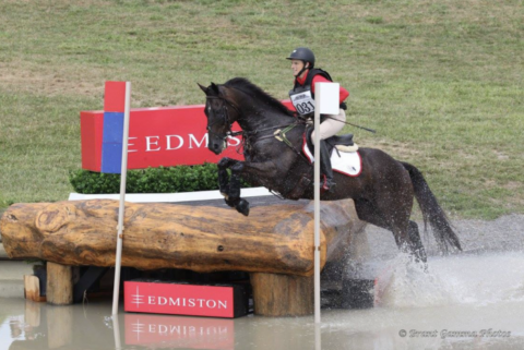 Tonya Johnston: Articles on Equestrian Sport Psychology | Tonya Johnston